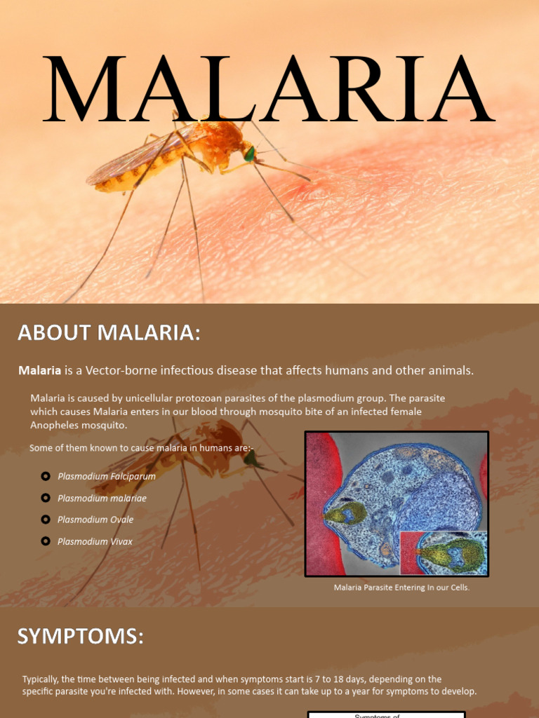 MALARIA | Download Free PDF | Malaria | Plasmodium