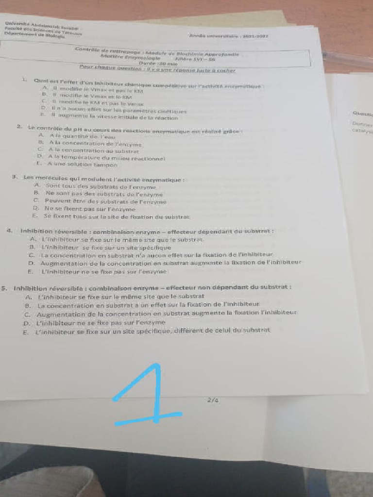 Exam Ratt 2022-1 | PDF