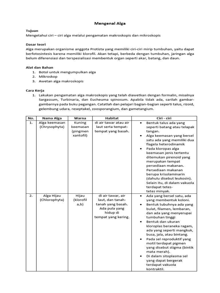 Mengenal Alga | PDF