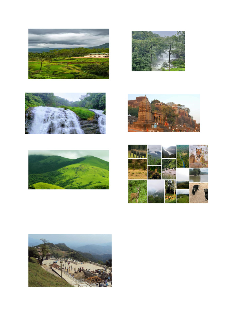 Coorg | PDF