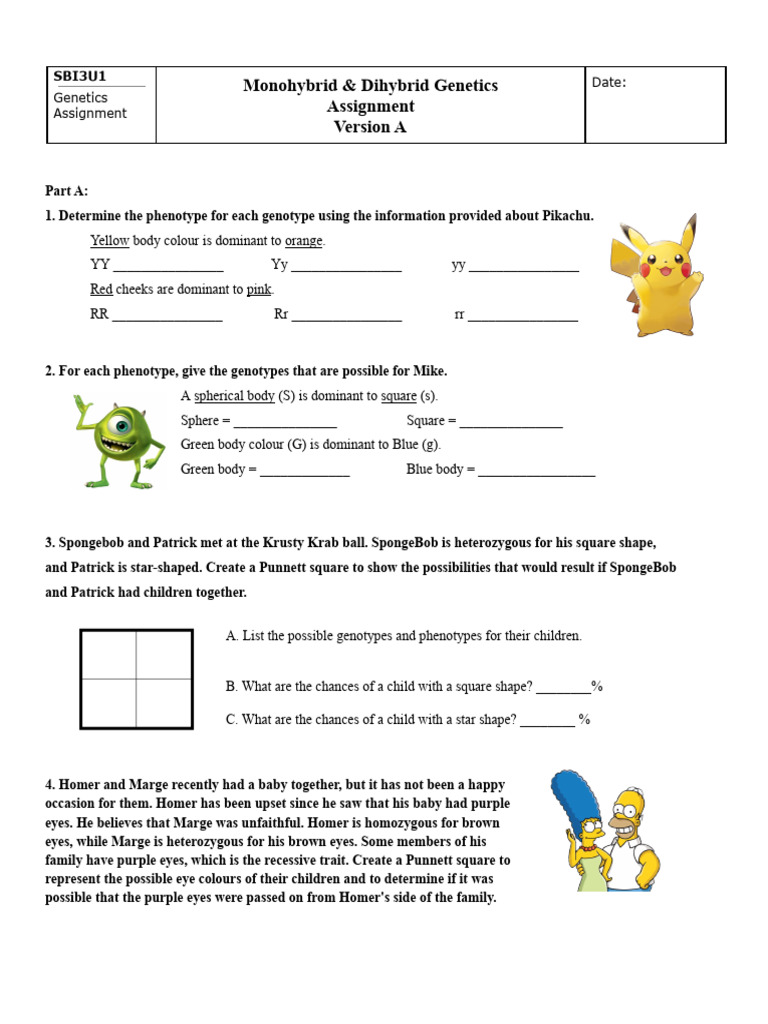 Genetics Assignment (1) | PDF | Genotype | Genetics