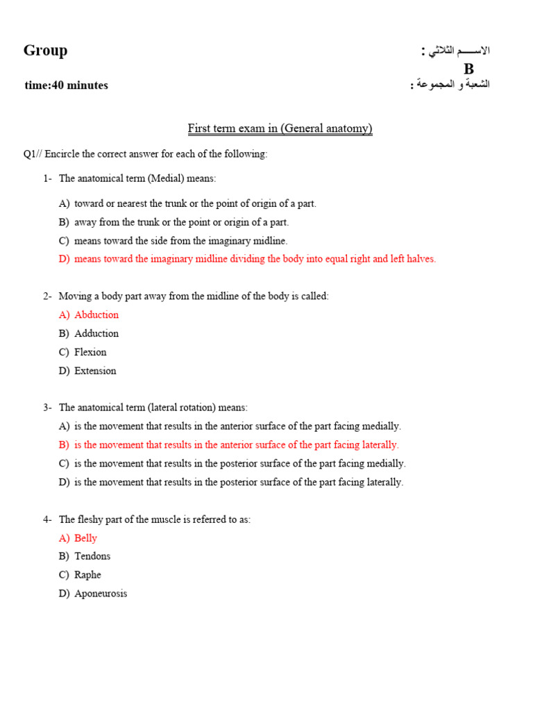 First Term Exam, Group B - Answer Sheet | PDF | Vertebral Column ...