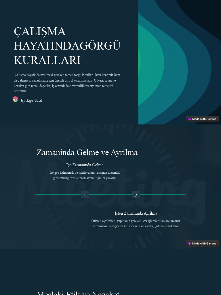 Calisma Hayatindagorgu Kurallari | PDF