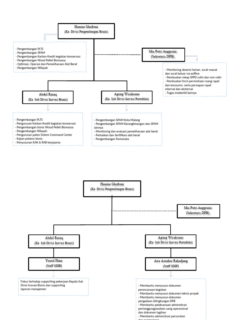 Struktur Organisasi DPB, SDIB Dan SDIP | PDF