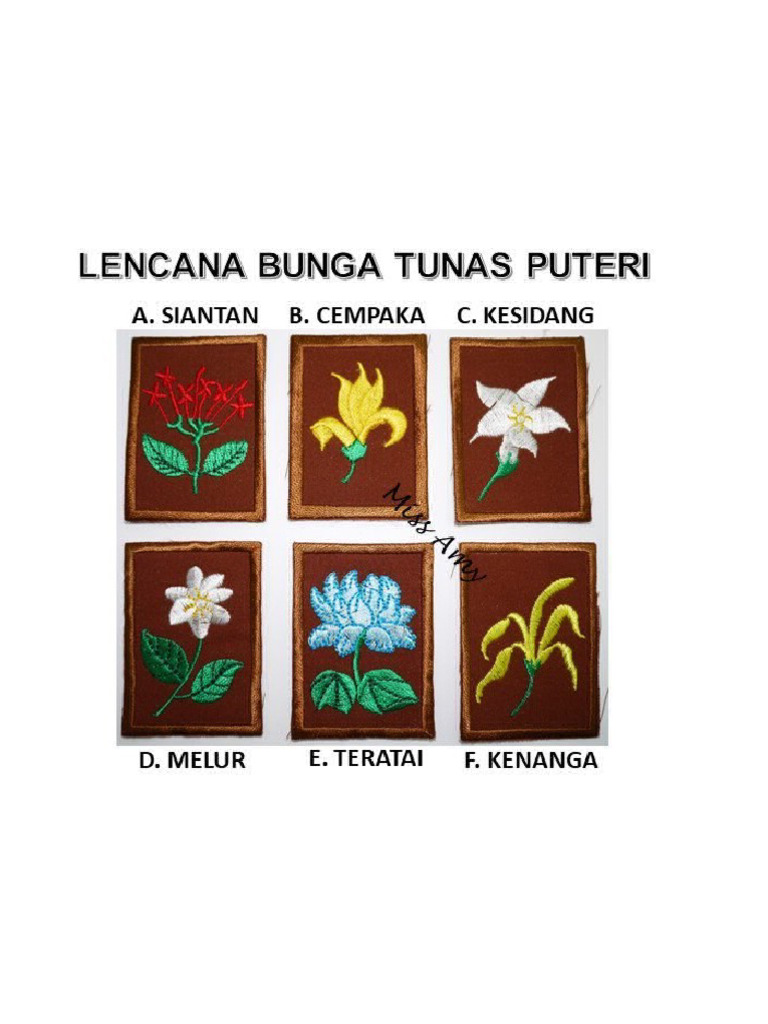 Lencana Tunas Puteri, Kumpulan. | PDF
