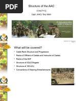 The Pecking Order Poster As A High Resolution | PDF | Military Rank ...