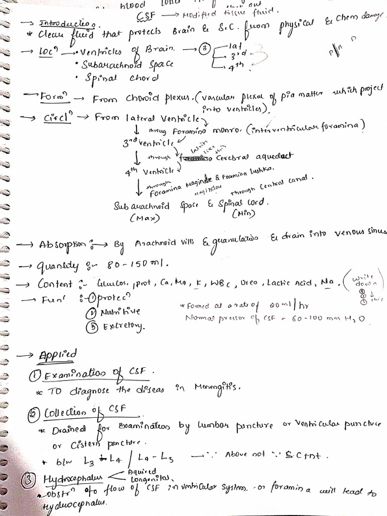 csf Anatomy | PDF
