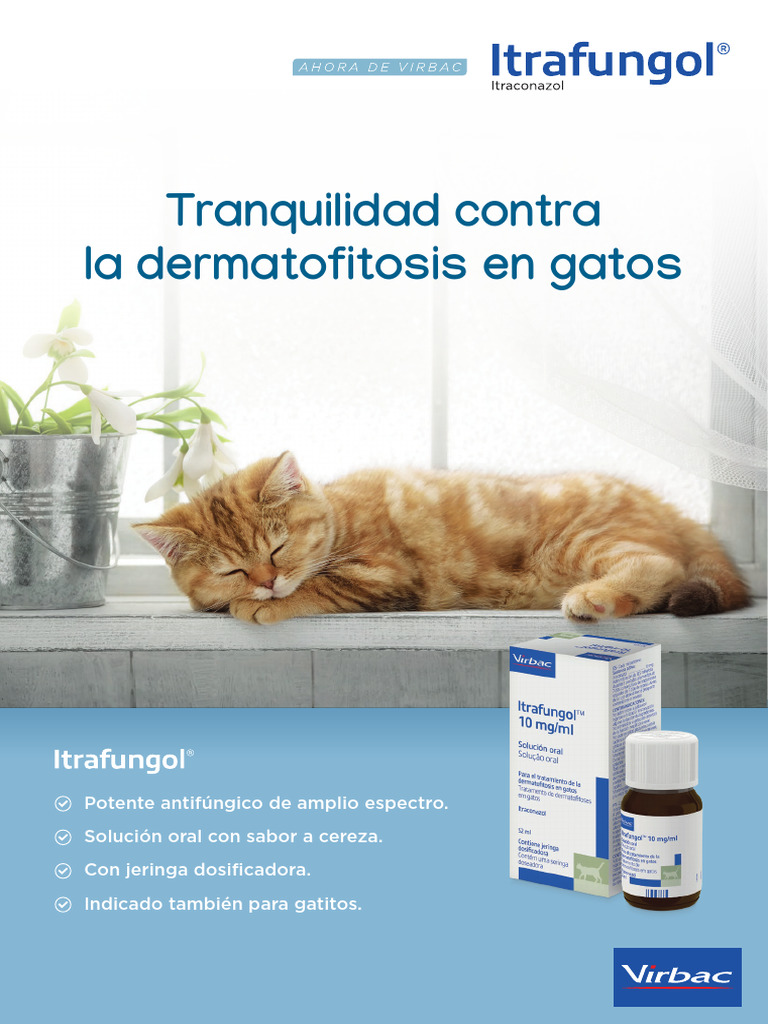 Lamina Itrafungol VP901115 210x297 | PDF | Gatos | Medicina CLINICA