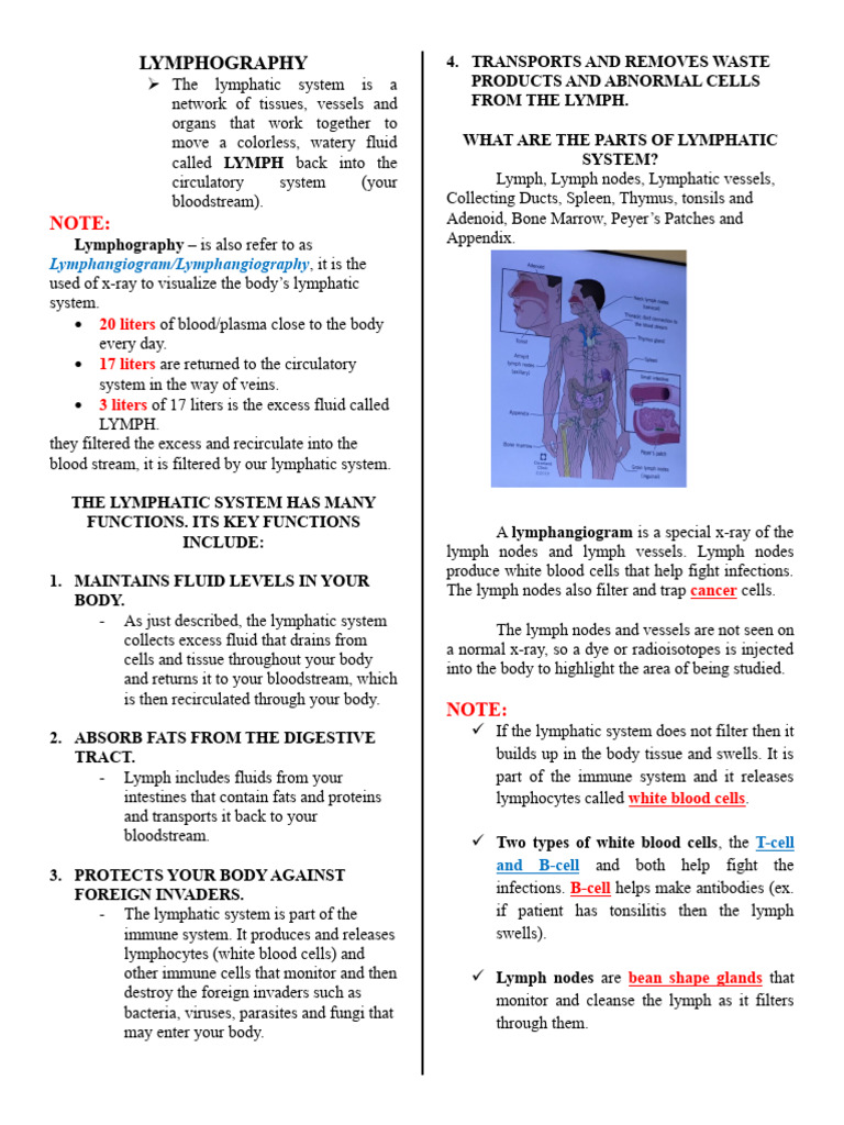 RT25 Notes 1 | PDF | Lymphatic System | Angiography