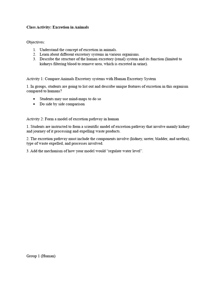 Excretion Systems: Class Activity | PDF