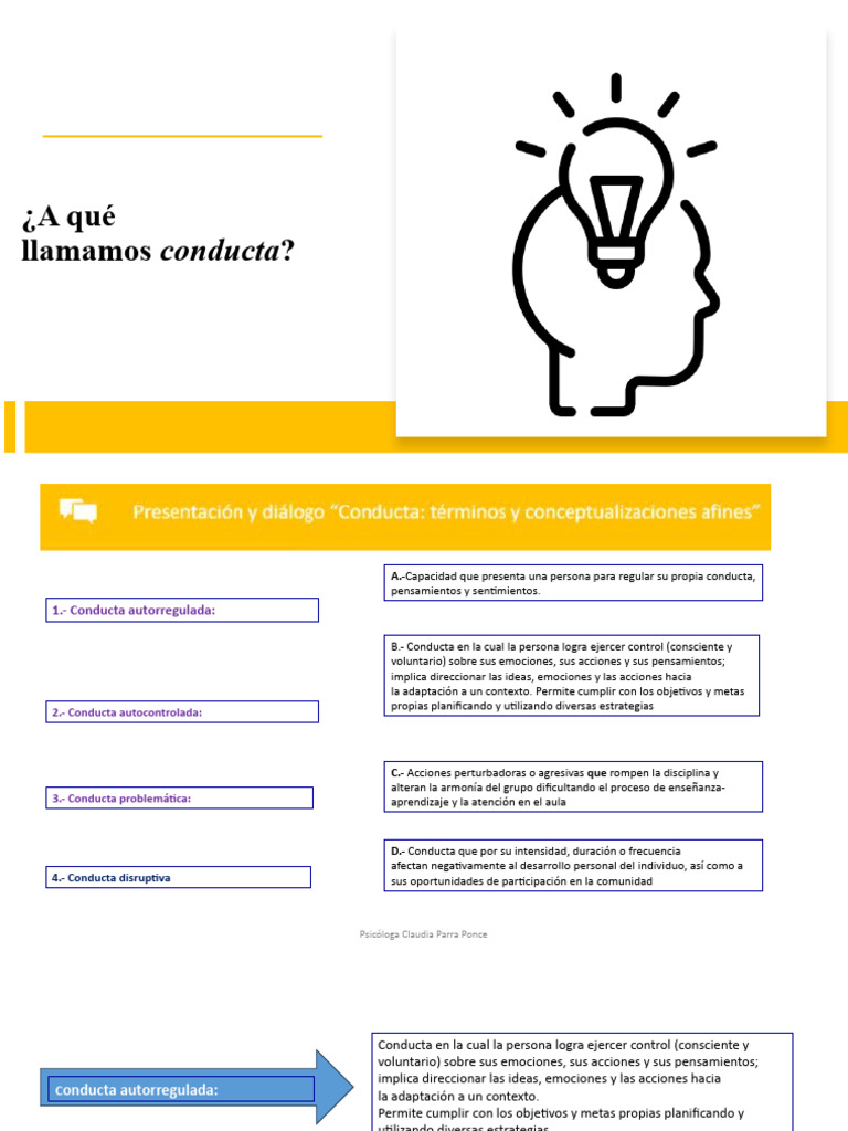 Práctica Inicial - Conducta Problemática - Comprensión y Manejo-2023 | PDF | Comportamiento ...
