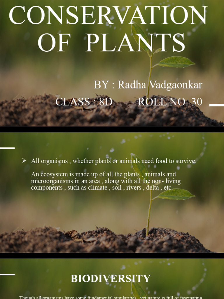 Conservation of Plants Class 8 | PDF | Soil | Biodiversity
