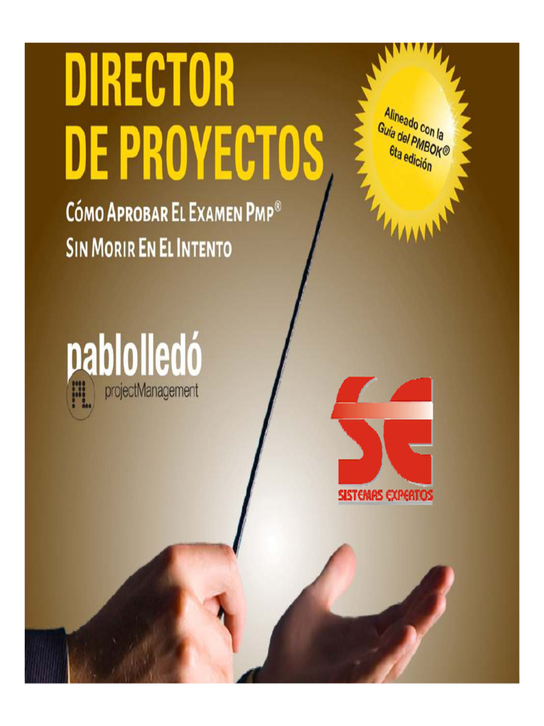 Guía Completa para Aprobar el Examen PMP® | PDF | Profesional en el ...