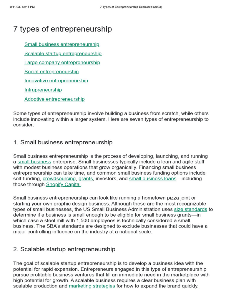 7 Types of Entrepreneurship Explained (2023) | PDF | Entrepreneurship ...