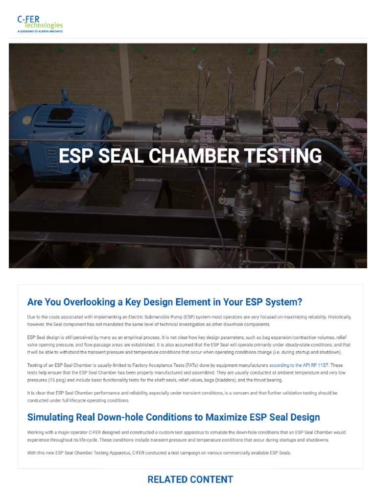 ESP Seal Chamber Testing | PDF
