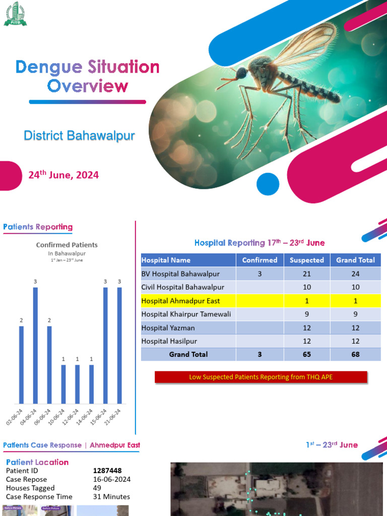 Dengue Situation Overview-3 | PDF