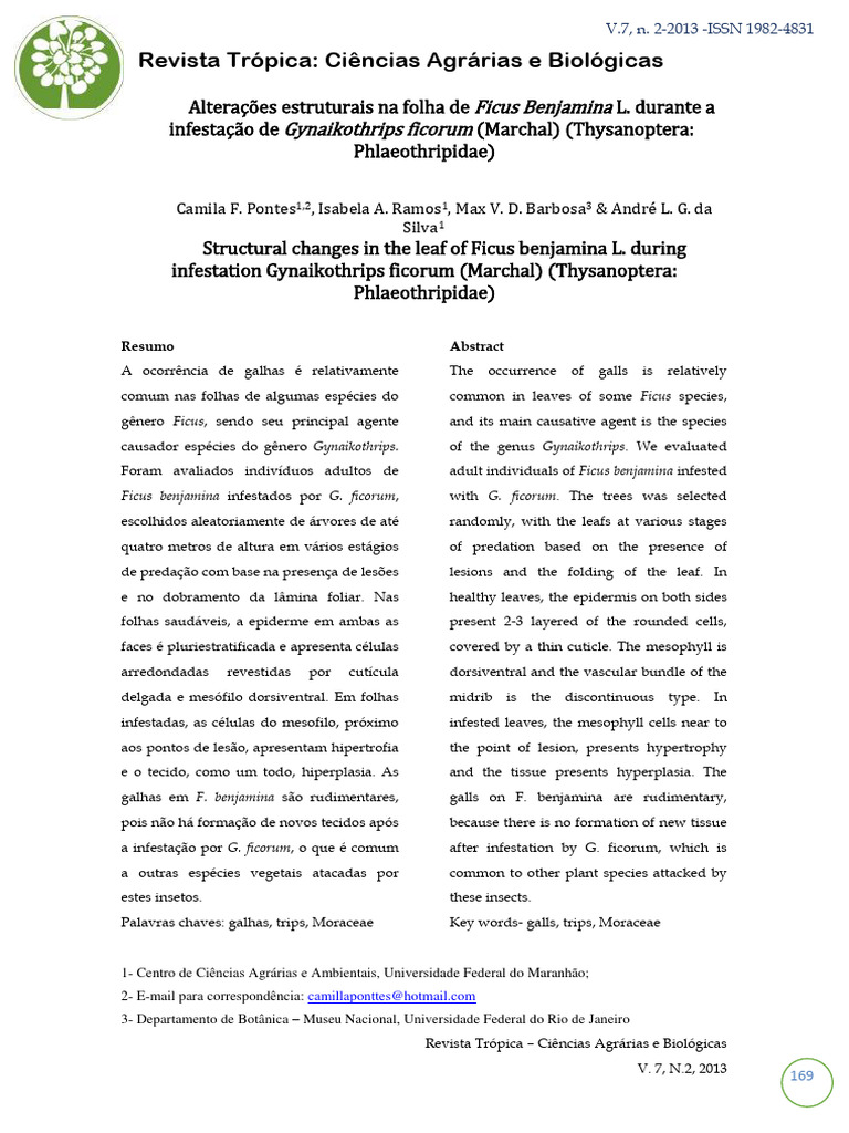 Anatomia Foliar Ficus | PDF | Folha | Morfologia vegetal