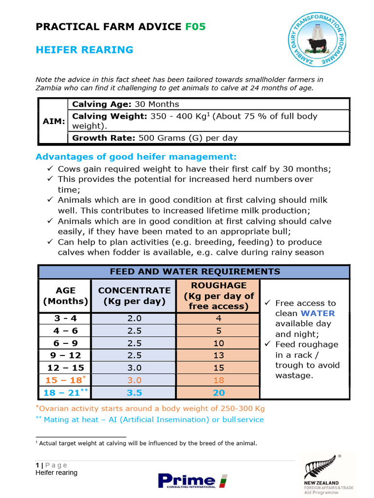 F05 - Heifer Rearing | PDF | Cattle | Dairy Cattle