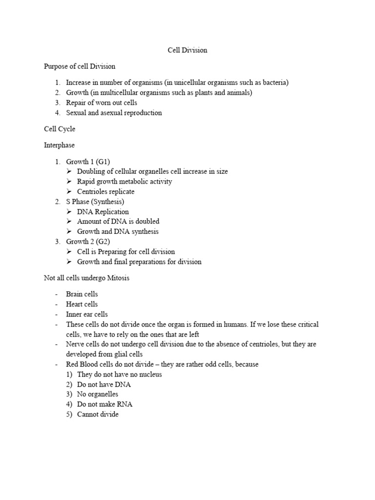 Cell Division | PDF | Meiosis | Chromosome