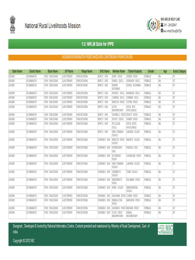 (VillageLevel) NRLMDataforIPPEASSAM BISWANATH PUBCHAIDUAR LOHITMUKH PANIKCHUBA | PDF
