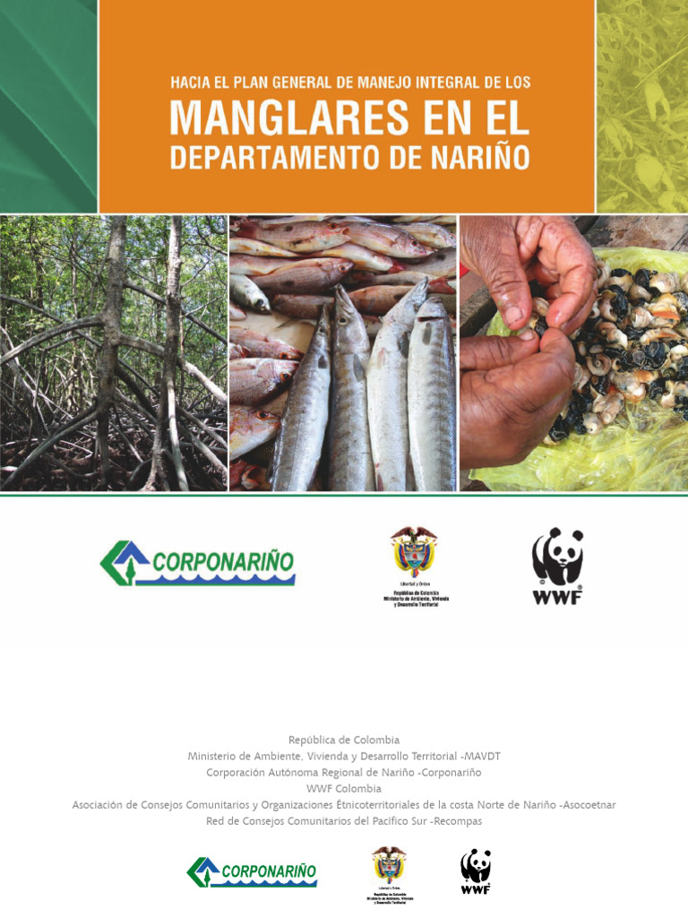 Cuidado Del Manglar | PDF | Mangle | Ecosistema