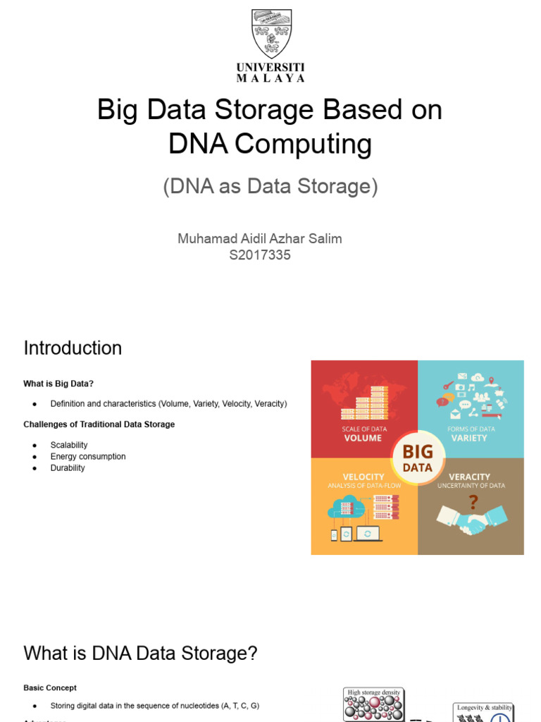 Big Data Storage Based on DNA Computing | PDF | Dna Sequencing | Dna