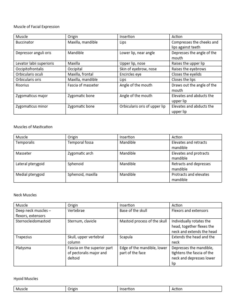 MUSCLE OIA | Download Free PDF | Foot | Abdomen
