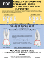 Clasificación de Winter | PDF | Ramas de Odontología | Boca