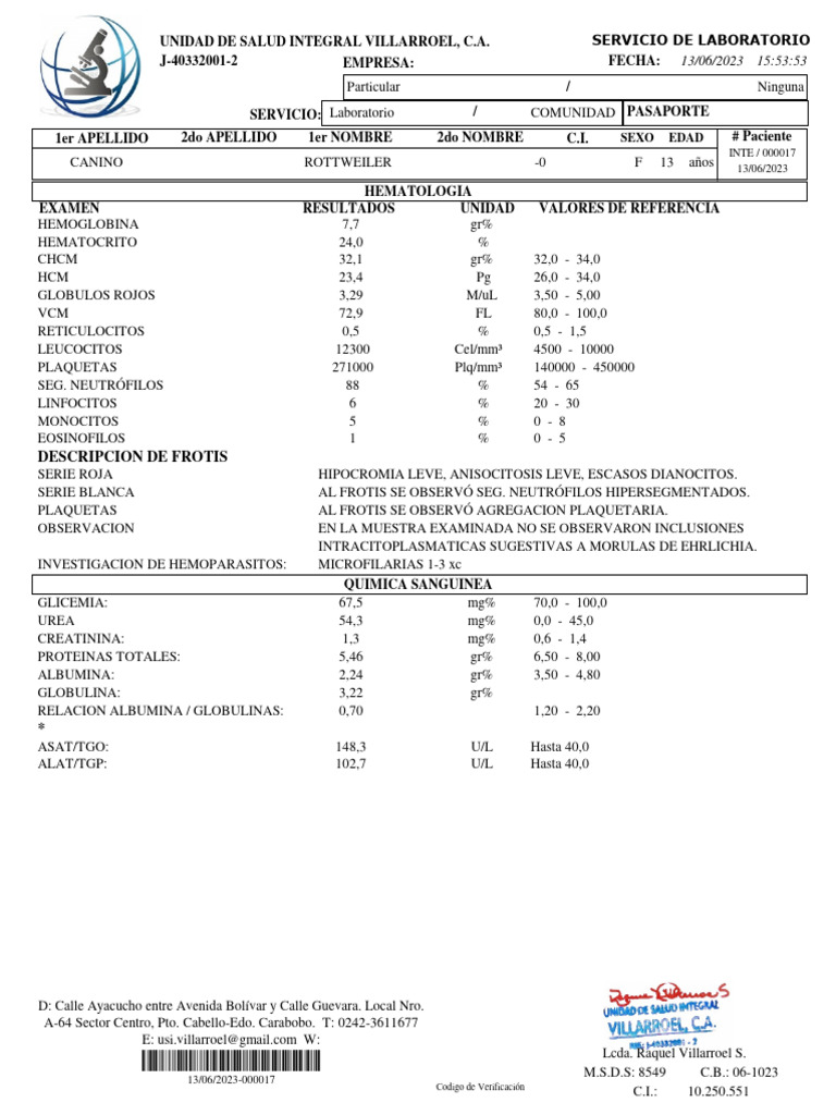 Canino Rottweiler 13-06-2023 - 035817 | PDF | Biología Celular ...