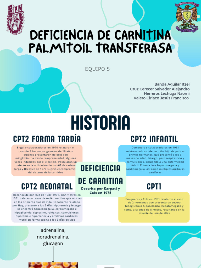 Deficiencia carnitina palmitoil transferasa (1) | Descargar gratis PDF ...