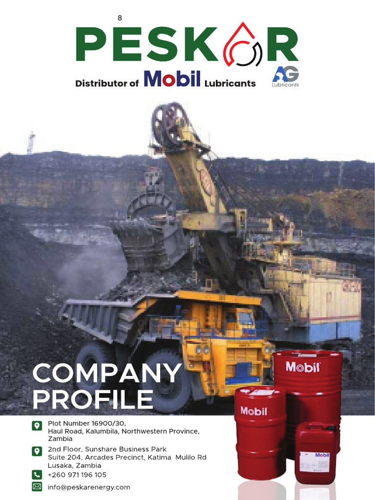 Peskar Energy - Company Profile | PDF | Petroleum | Oils