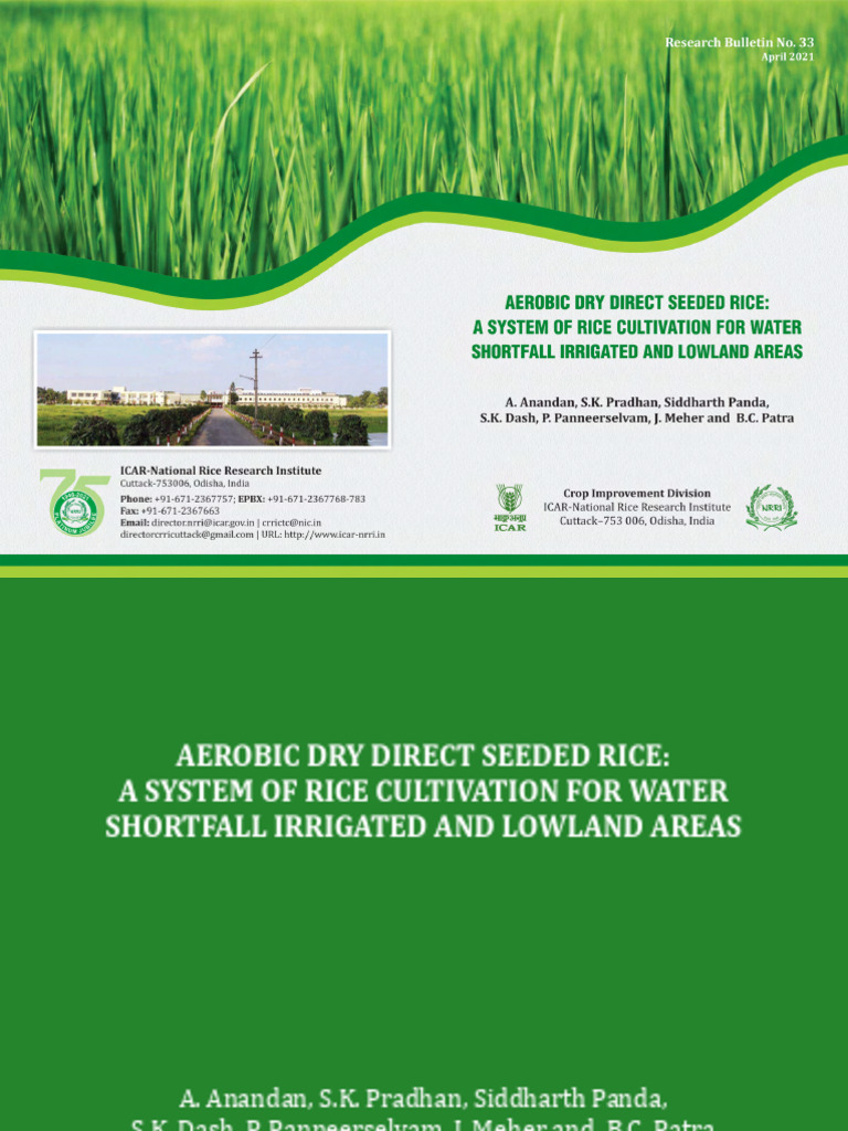 Aerobic Dry Direct Seeded Rice Cultivation - Anandan Et Al 2021 ICAR ...