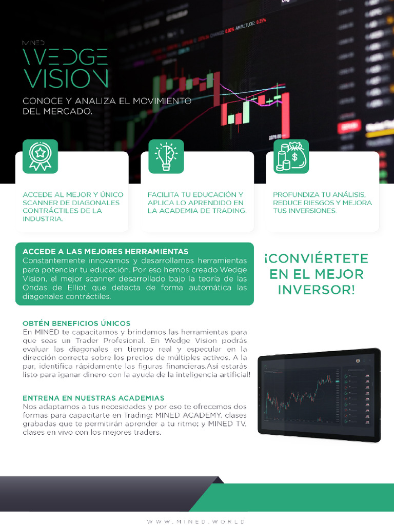 Product Sheet Wedge Vision | PDF