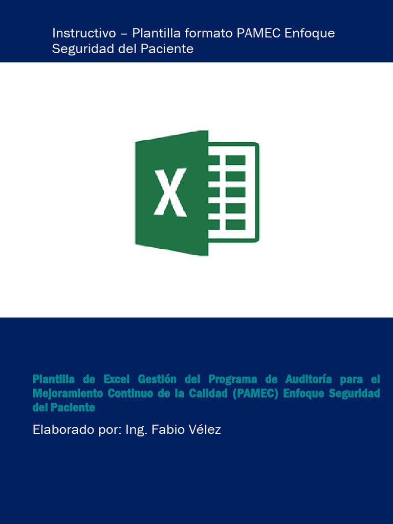 Instructivo Formato Pamec SP | PDF | Seguridad del paciente | Auditoría