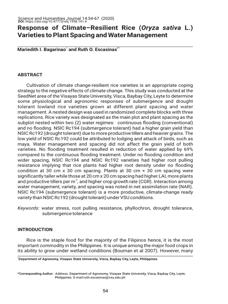 Response of Climate-Resilient Rice (Oryza Sativa L.) - Bagarinao Et Al ...