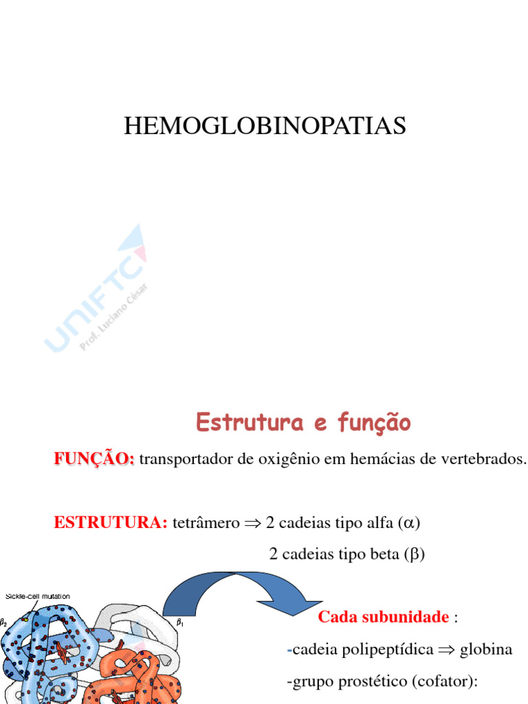 Anisopoiquilocitose e Microcitose em Hemoglobinopatias | PDF ...