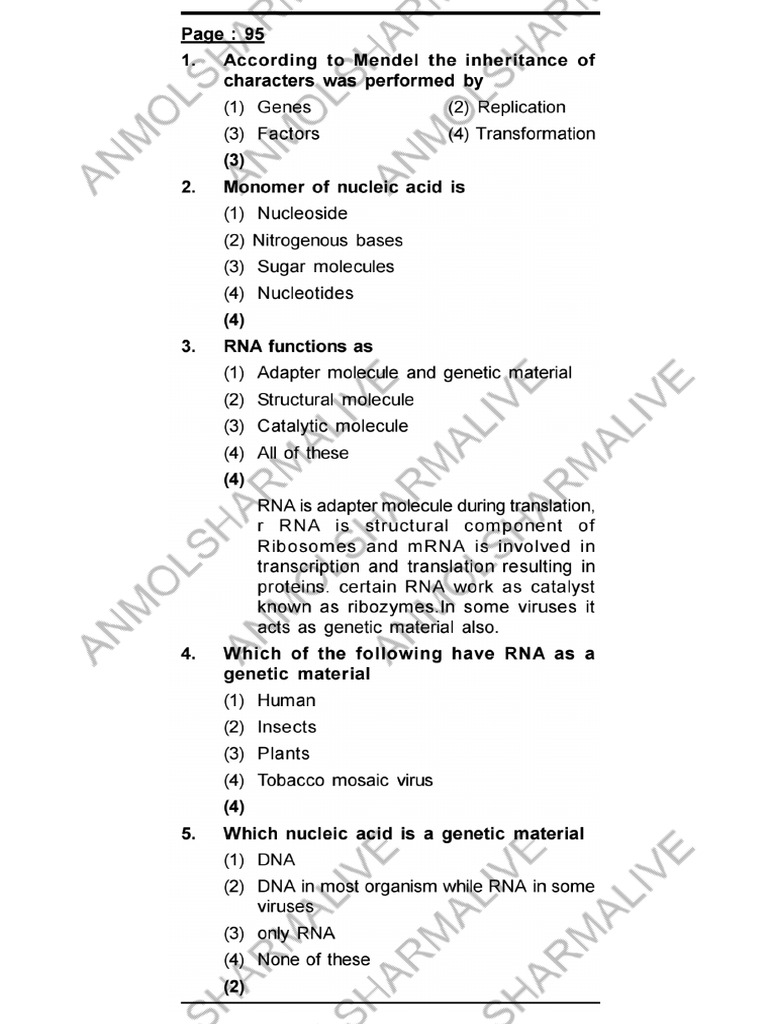 Molecular Basis of Inheritance - NCERT Line Based | PDF