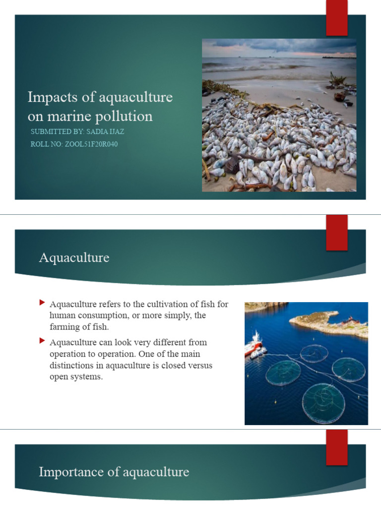 Sadia Ijaz 40 Aquaculture | PDF | Aquaculture | Eutrophication