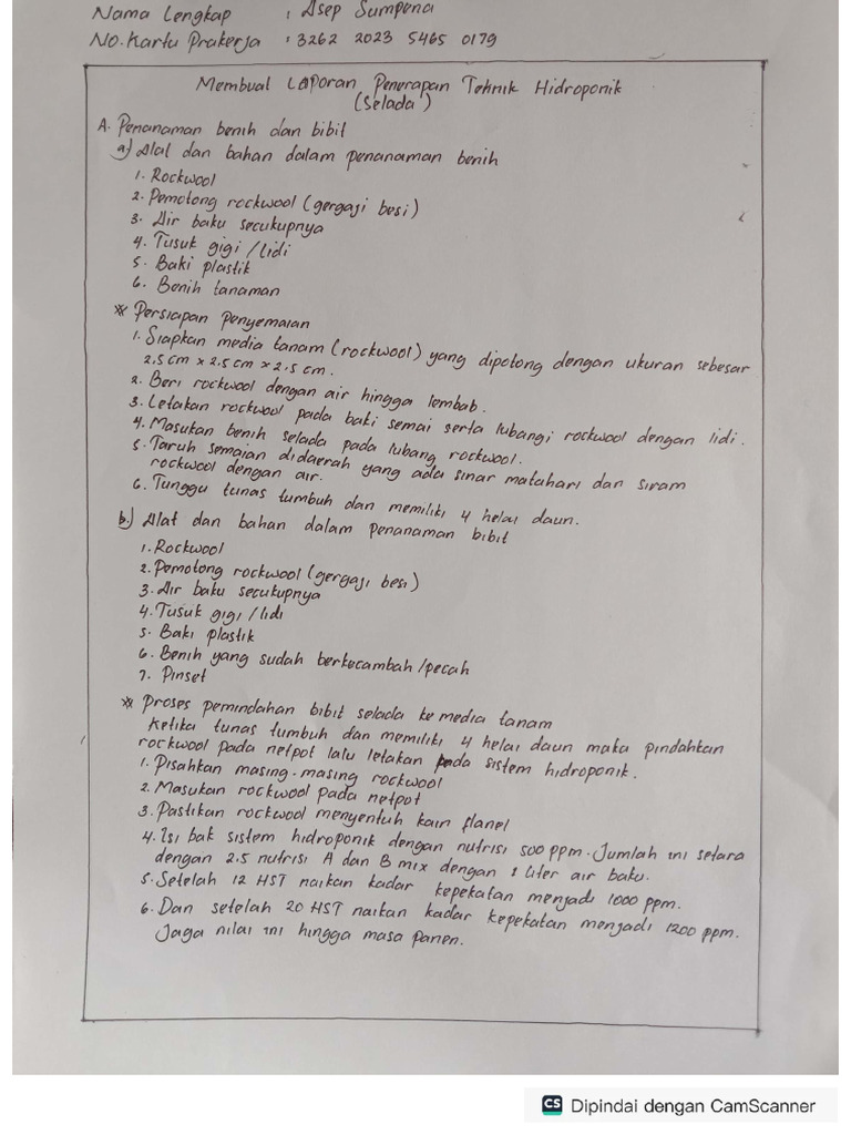 TPM 4 Laporan Penerapan Teknik Hidroponik - (ASEP SUM) | PDF