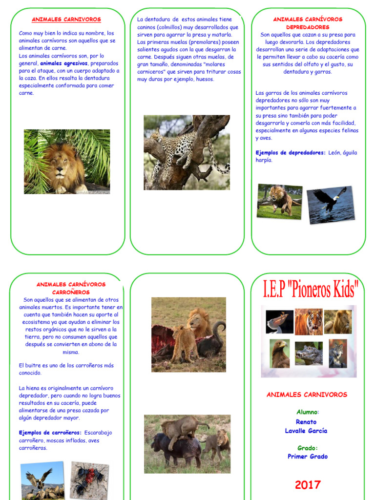 Animales Carnivoros | PDF | Depredación | Muerte animal