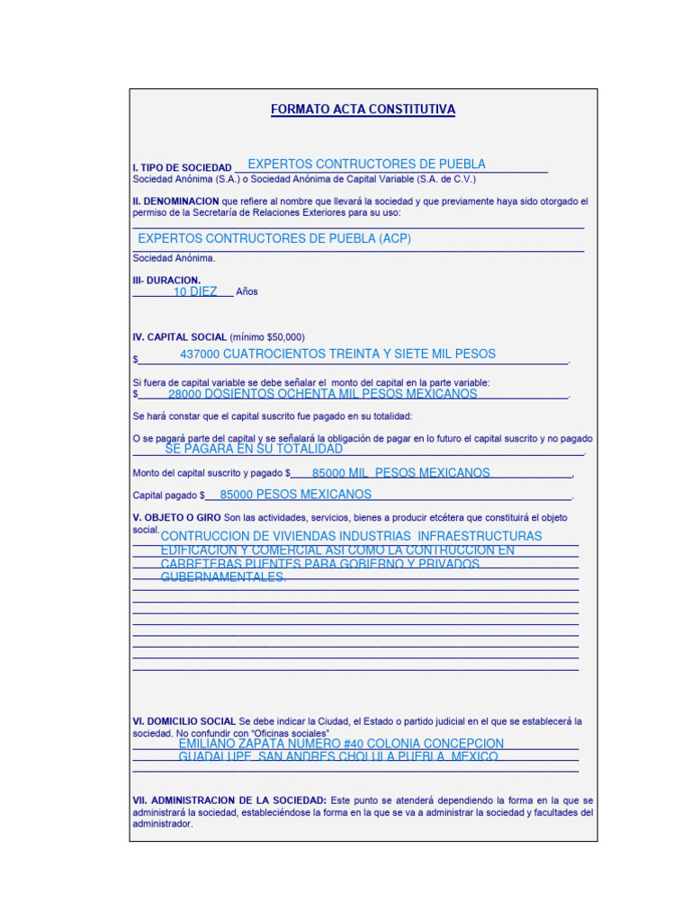 Formato Acta Constitutiva | PDF | México