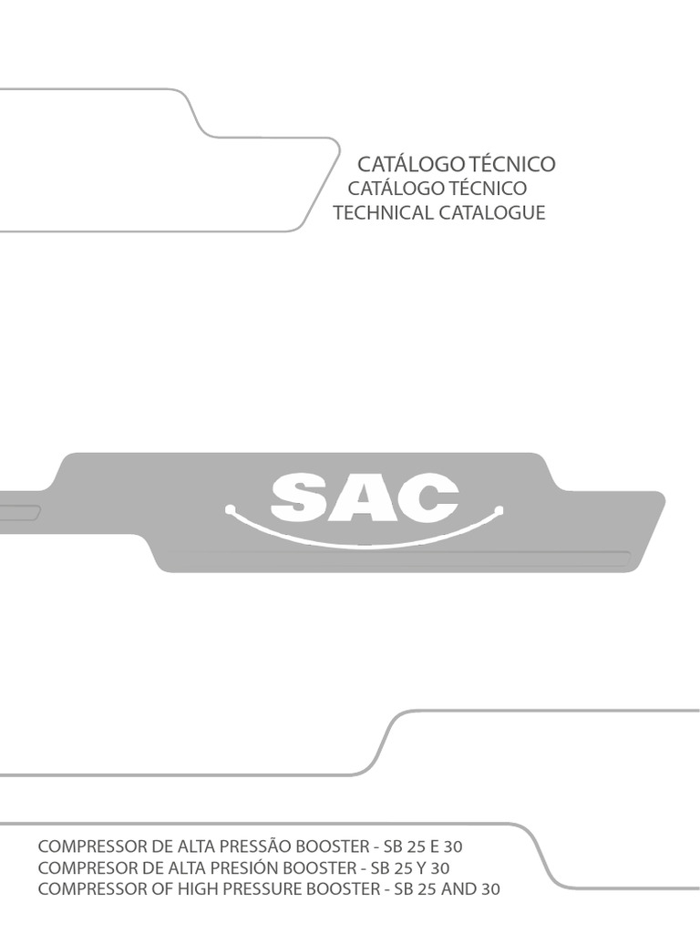 CT 484 - Booster SB 25 e 30 - Rev.004 - 01-18 | PDF | Motores | Relé