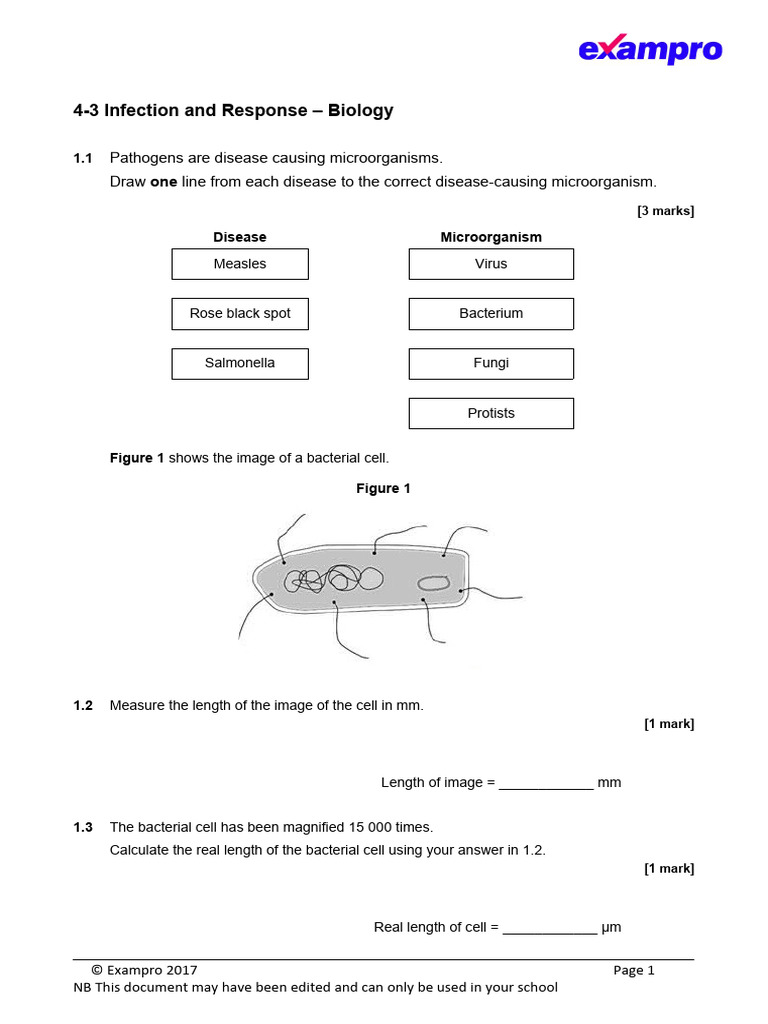 Infection, Response, and Drug Trials in Biology | PDF | Virus | Infection