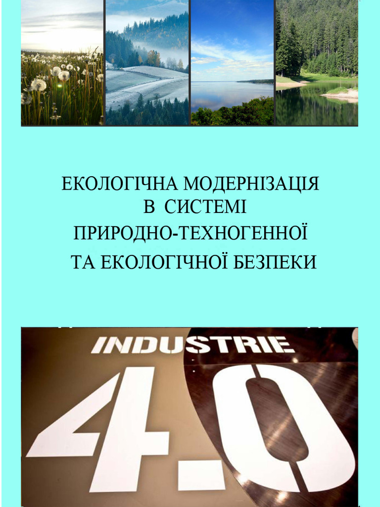 Monography 2016 Modernization | PDF