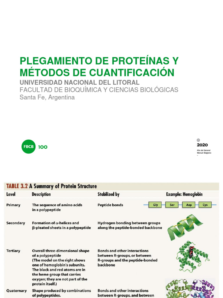 Teoría 5 | PDF | Plegamiento de proteínas | Proteínas