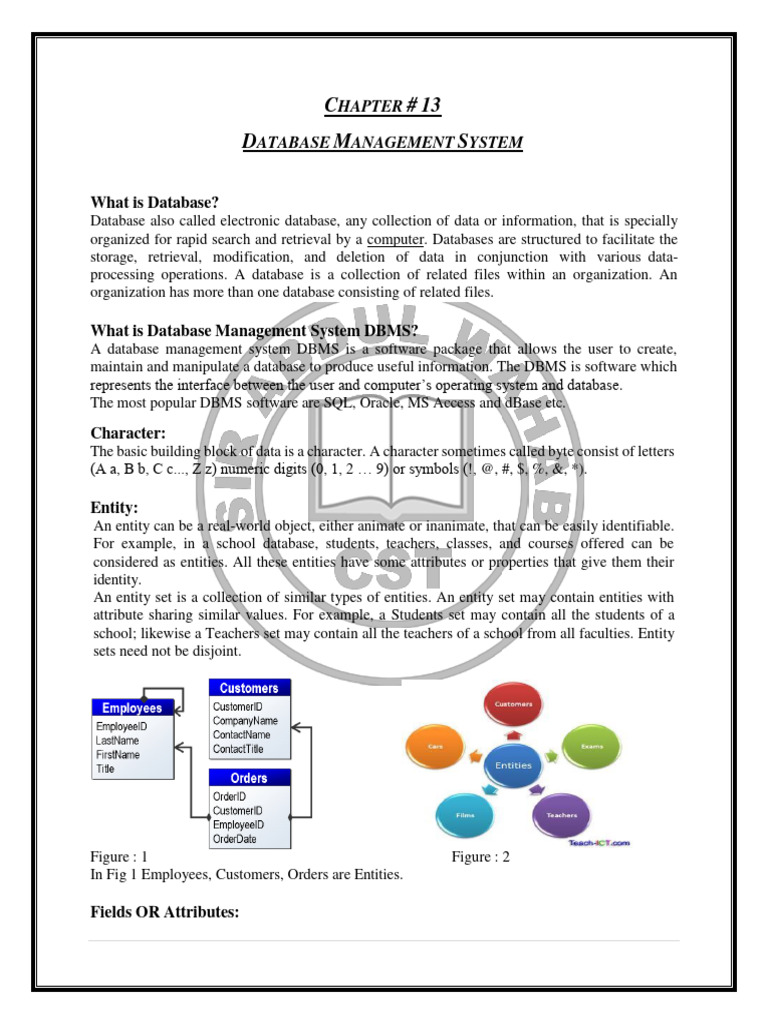 Chap 13 (DBMS) | PDF | Databases | Computer File