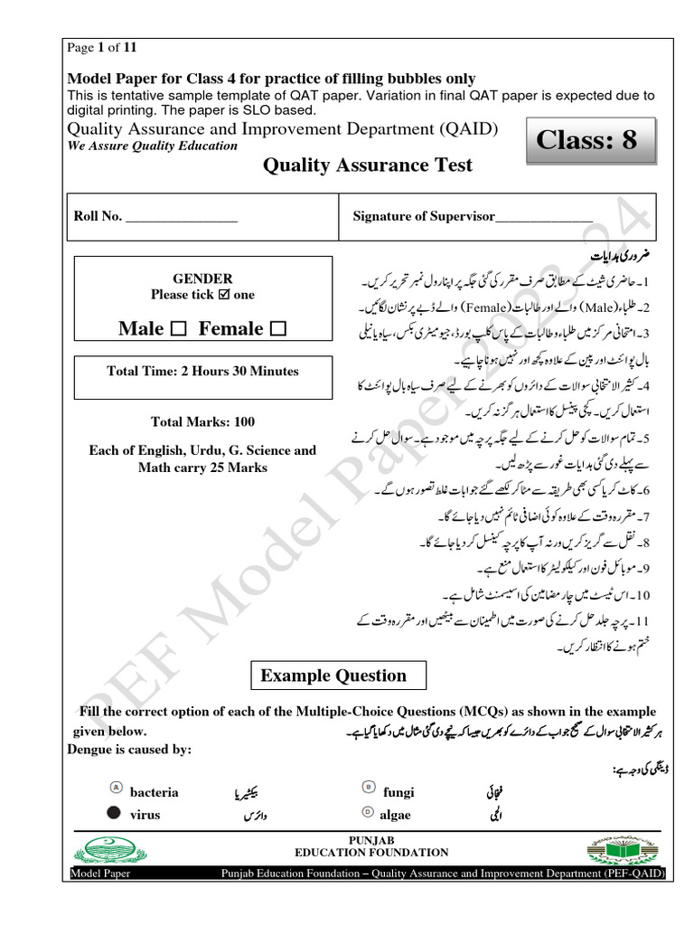 Model Paper Grade 8 With Bubble 040124 | PDF