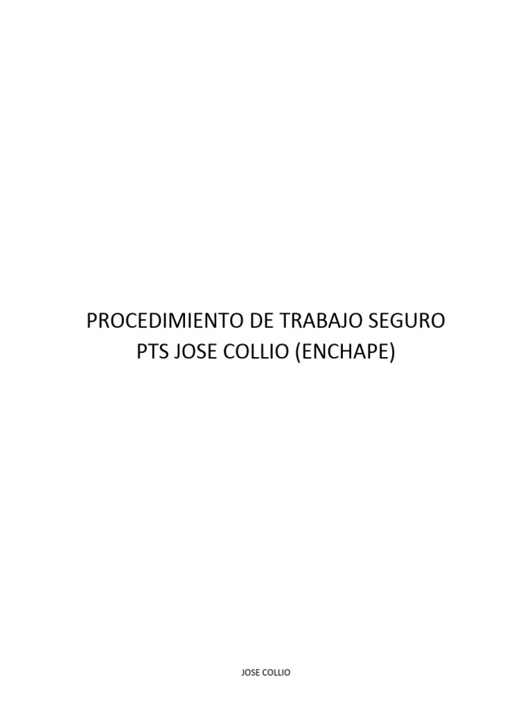PROCEDIMIENTO DE TRABAJO SEGURO PTS JOSE COLLIO - Covid | PDF ...