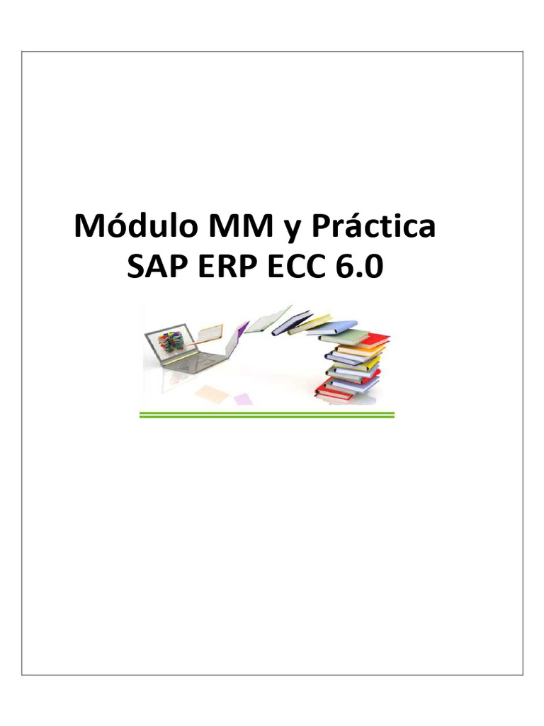 Módulo MM y Práctica Sap Erp Ecc 6.0 | PDF | Contabilidad | Business