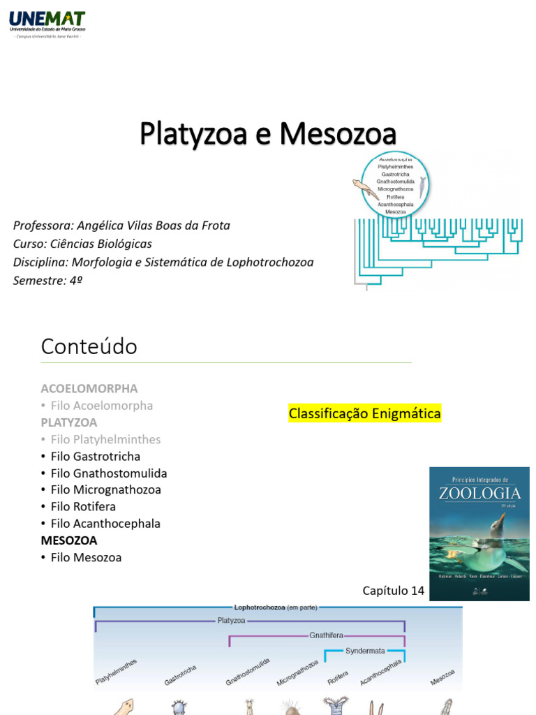 Platyzoa e Mesozoa: Classificação e Características | PDF | Biologia ...
